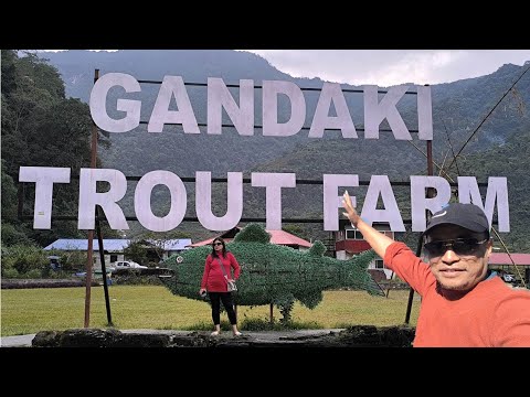 Gandaki Trout Farm Pokhara || Sardi Khola || Bhujung Khola - YouTube