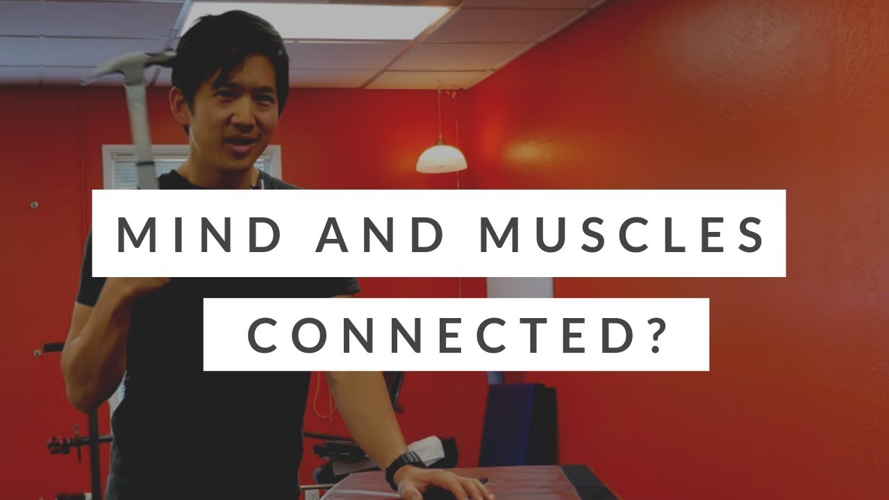 Muscle Series #3: Is the mind muscle connection real? - YouTube