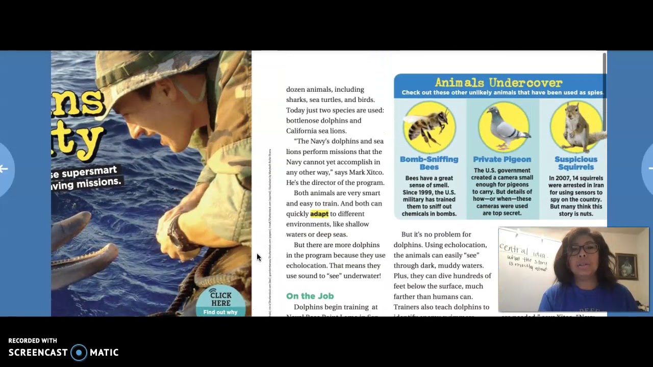 Lesson 1: "Dolphins on Duty" April 20-24 - YouTube