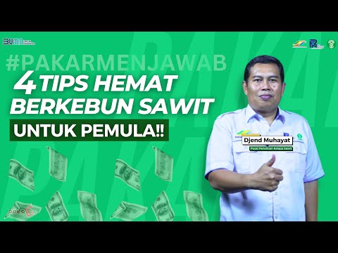 Pekebun Wajib Tau 4 Tips Hemat Berkebun Sawit Ini!!