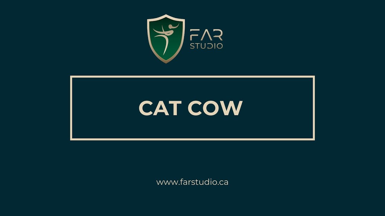 CAT COW - YouTube