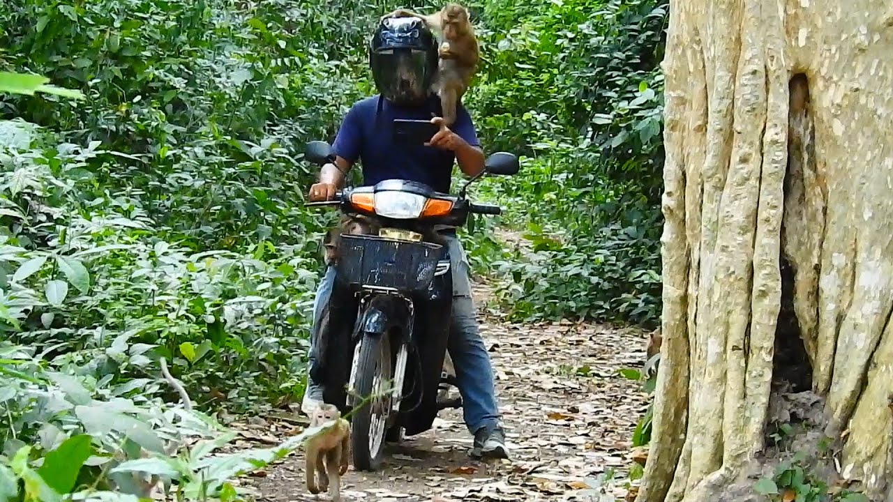 Wow! All orphans are very hungry, Jimmy is greedy grab everything he ...