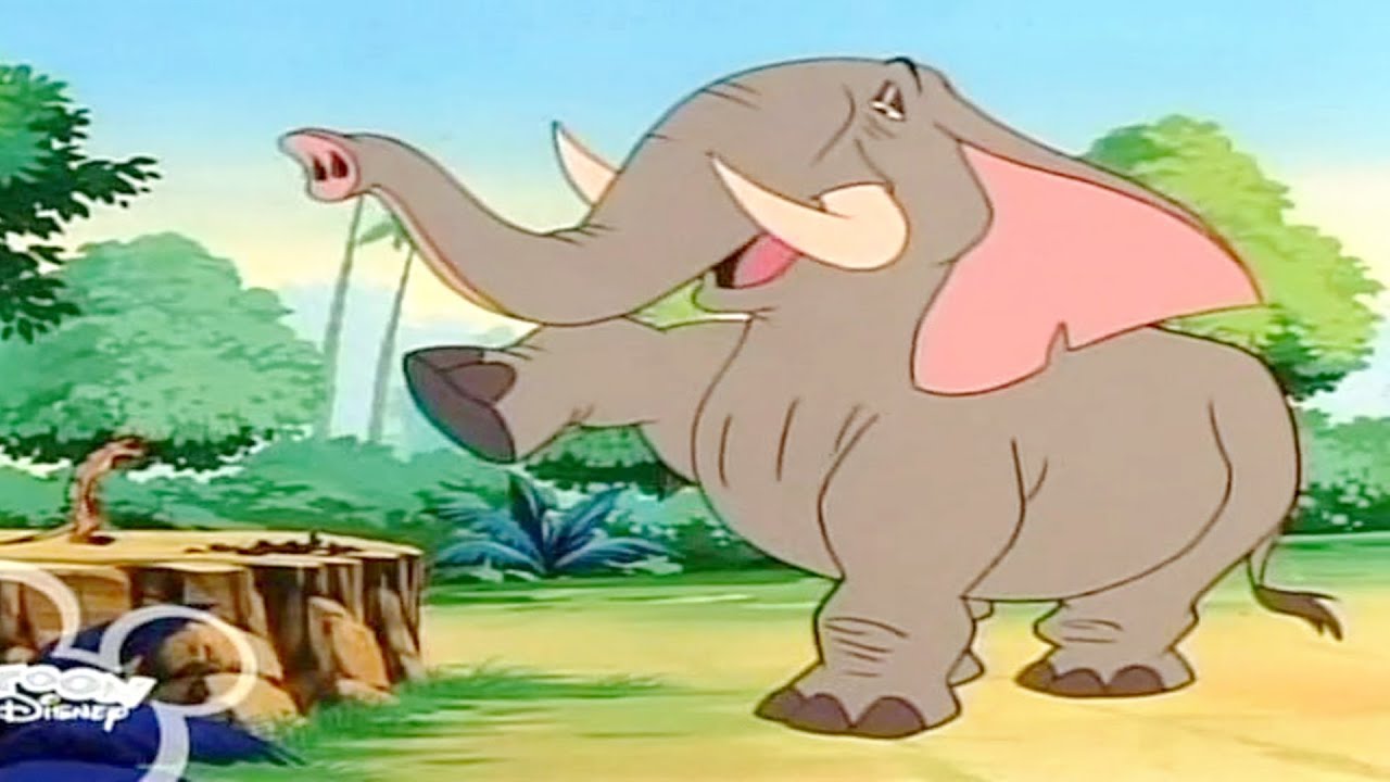 Timon & Pumbaa Season 1x21A - Unlucky in Lesotho Full Episode - YouTube