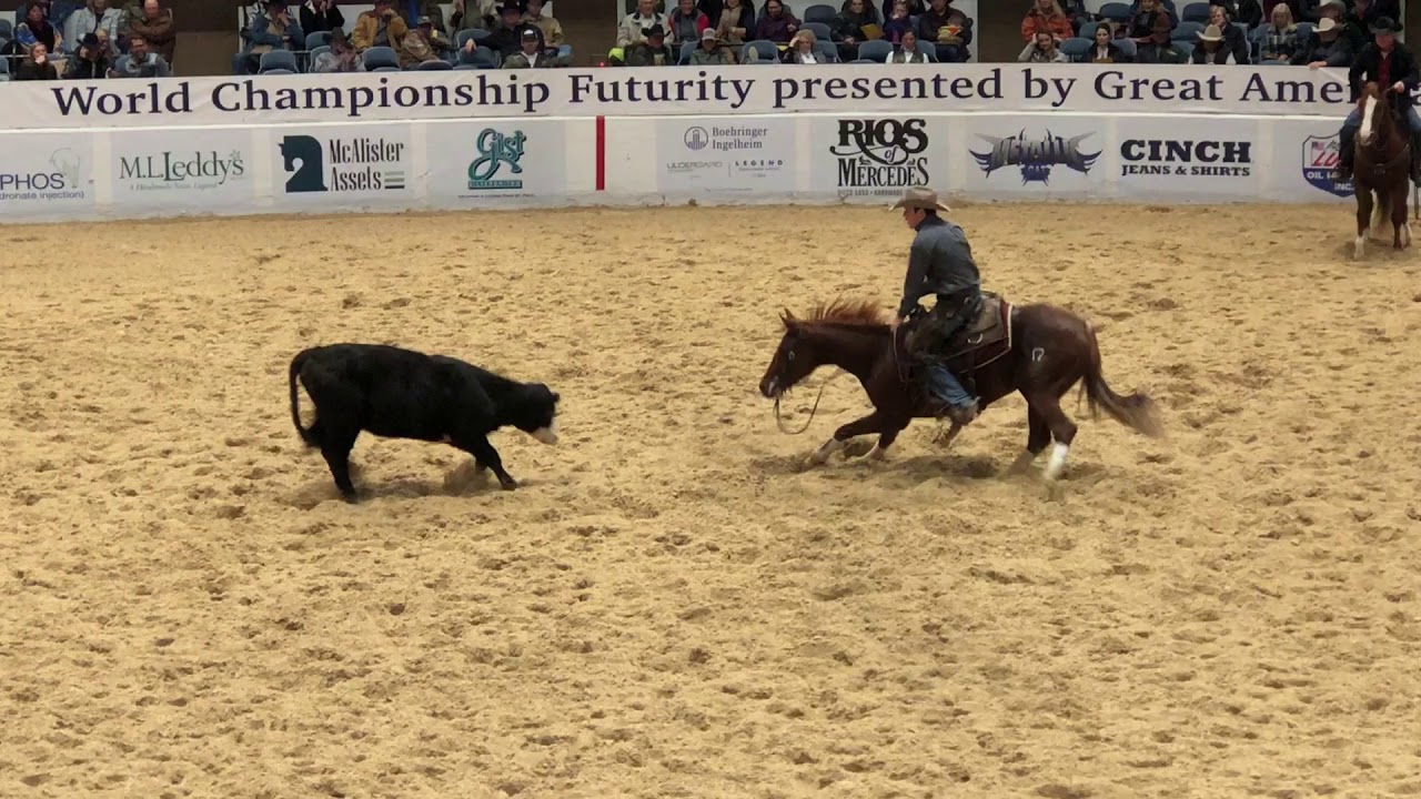 Cade Shepard and Chexy Louella 2018 NCHA NP Futurity Champions 3rd cow ...