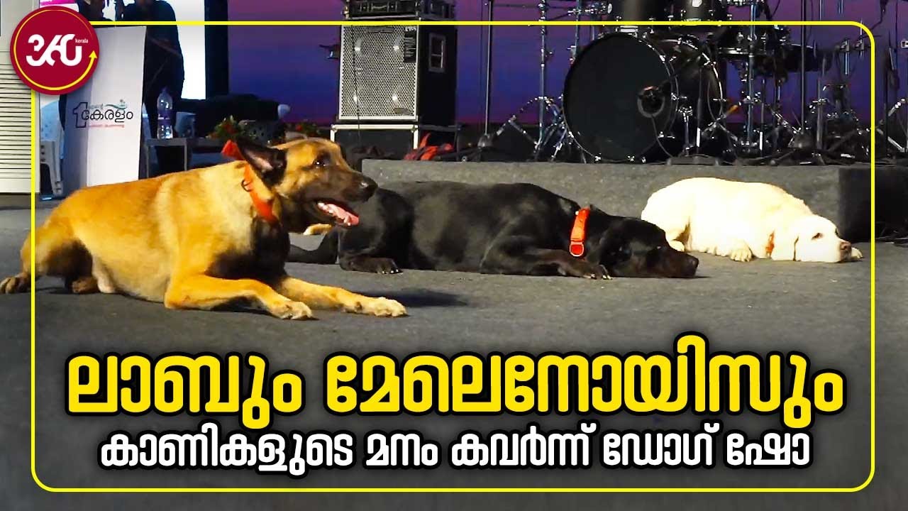 Kerala Police | Dog Showലാബും മേലെനോയിസും, കാണികളുടെ മനം കവർന്ന് ഡോഗ് ...