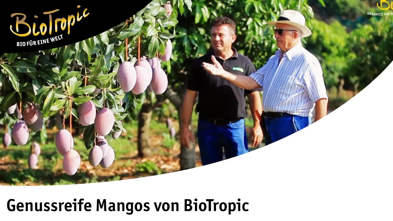 BioTropic Duisburg - Bio-Mangos für eine Welt, Kurzversion (Import Bio ...