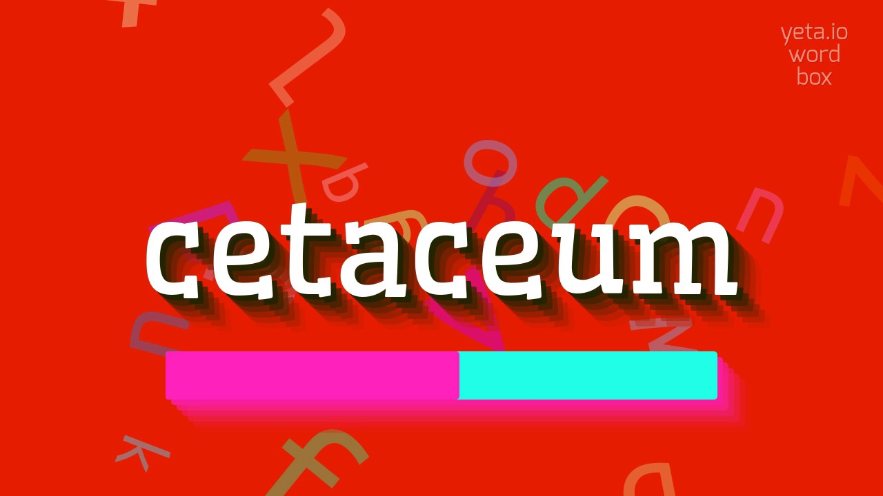 How to say "cetaceum"! (High Quality Voices) - YouTube