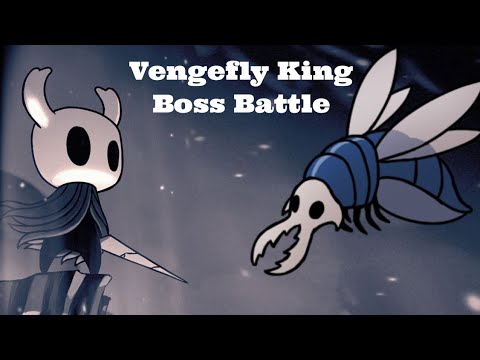 Vengefly King Boss Fight - YouTube