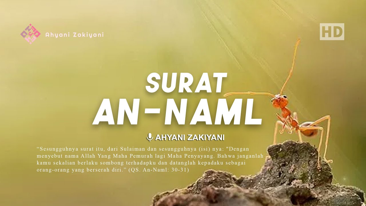 Surat An-Naml (Semut) Irama Bayyati, Doa Nabi Sulaiman Menundukkan ...