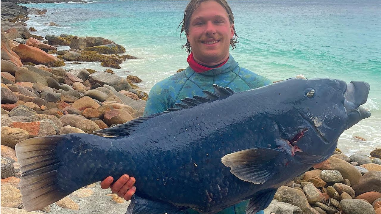 Spearfishing Huge Blue Grouper | South West WA - YouTube