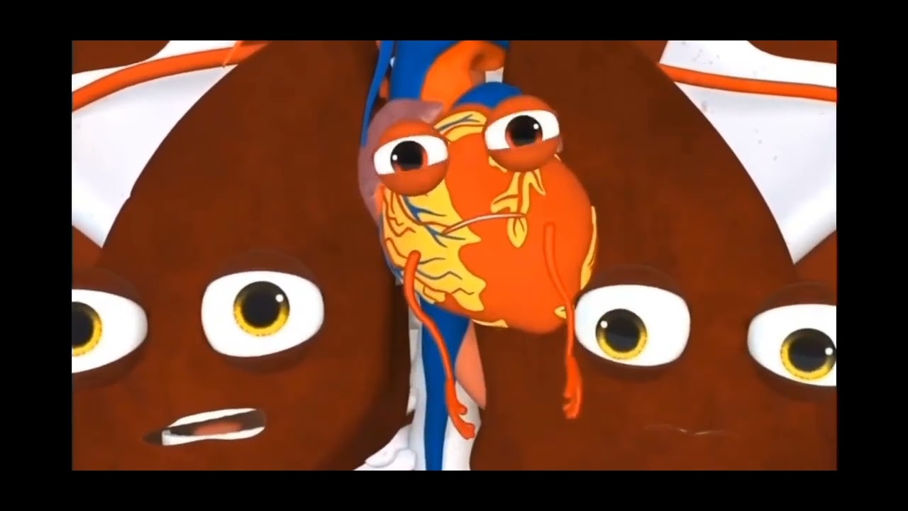 organ story - YouTube