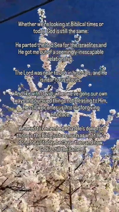 This quote is from my book, Worth More #handiworksbymaddie #Christian #artist #writer - YouTube