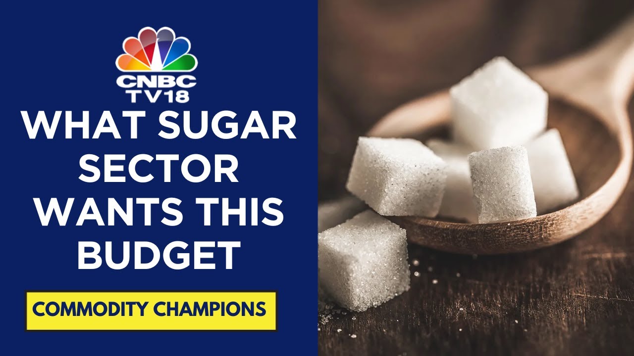 Sugar Industry Demands MSP Hike in Budget 2024 | Shree Renuka Sugars ...