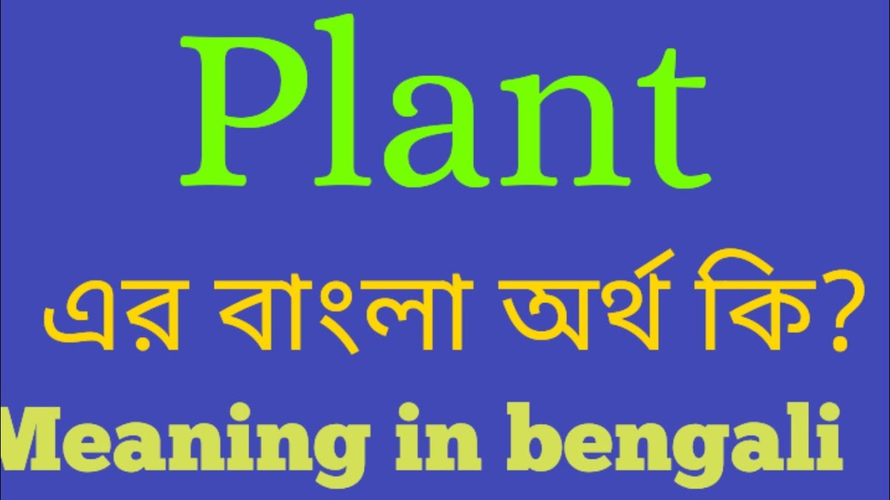 Plant Meaning in Bengali || Plant এর বাংলা অর্থ কি? || Bengali Meaning ...