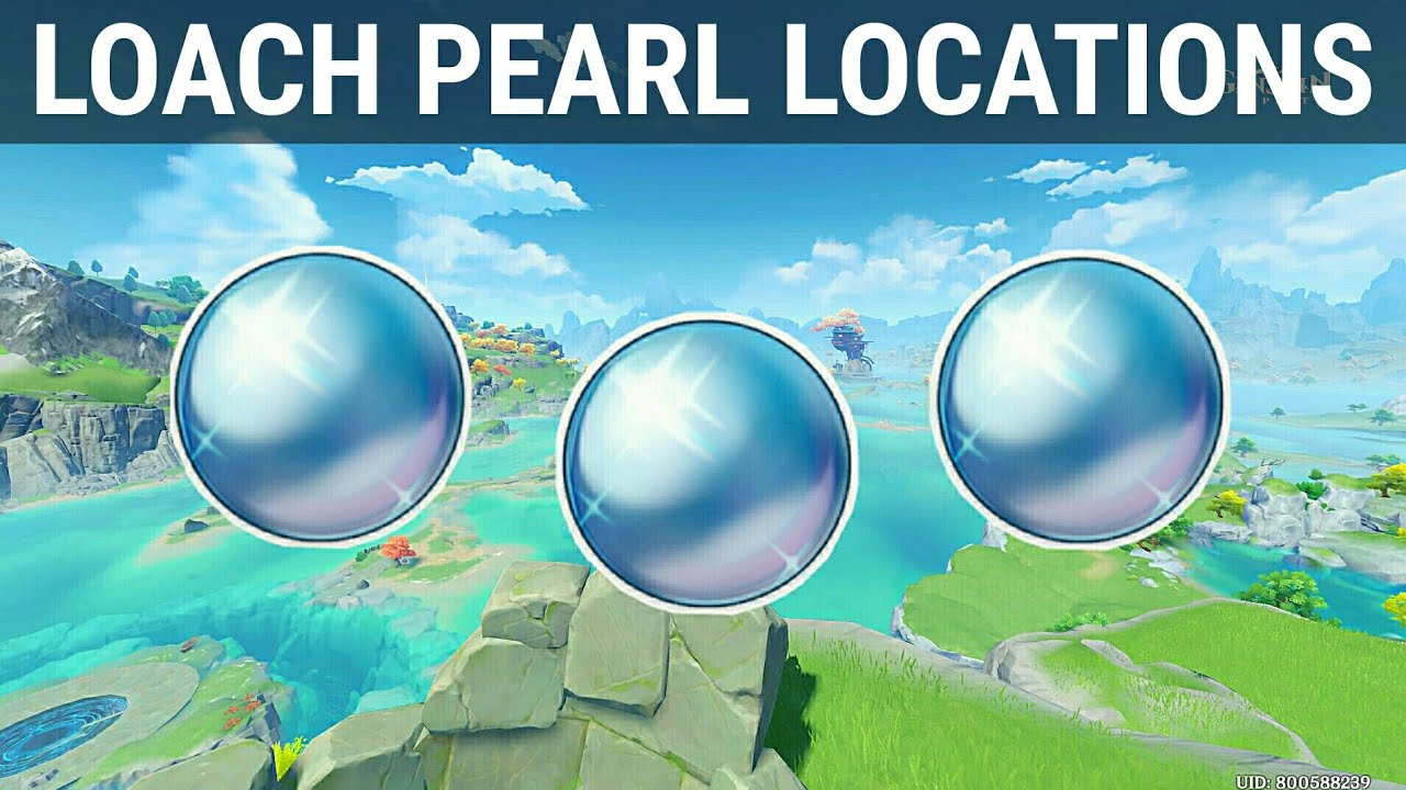 Loach Pearl Locations Genshin Impact - YouTube