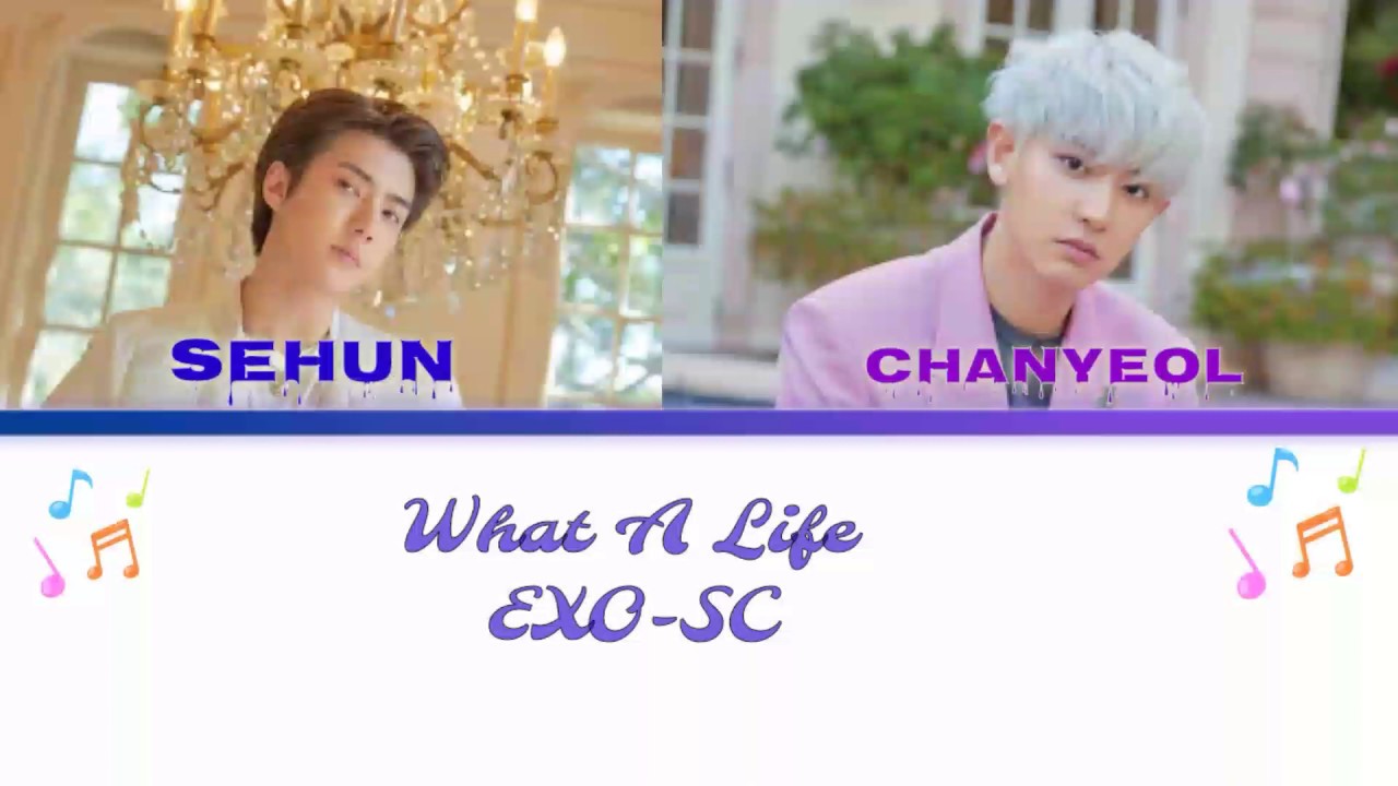 What A Life Exo-Sc [ lyrics ] - YouTube