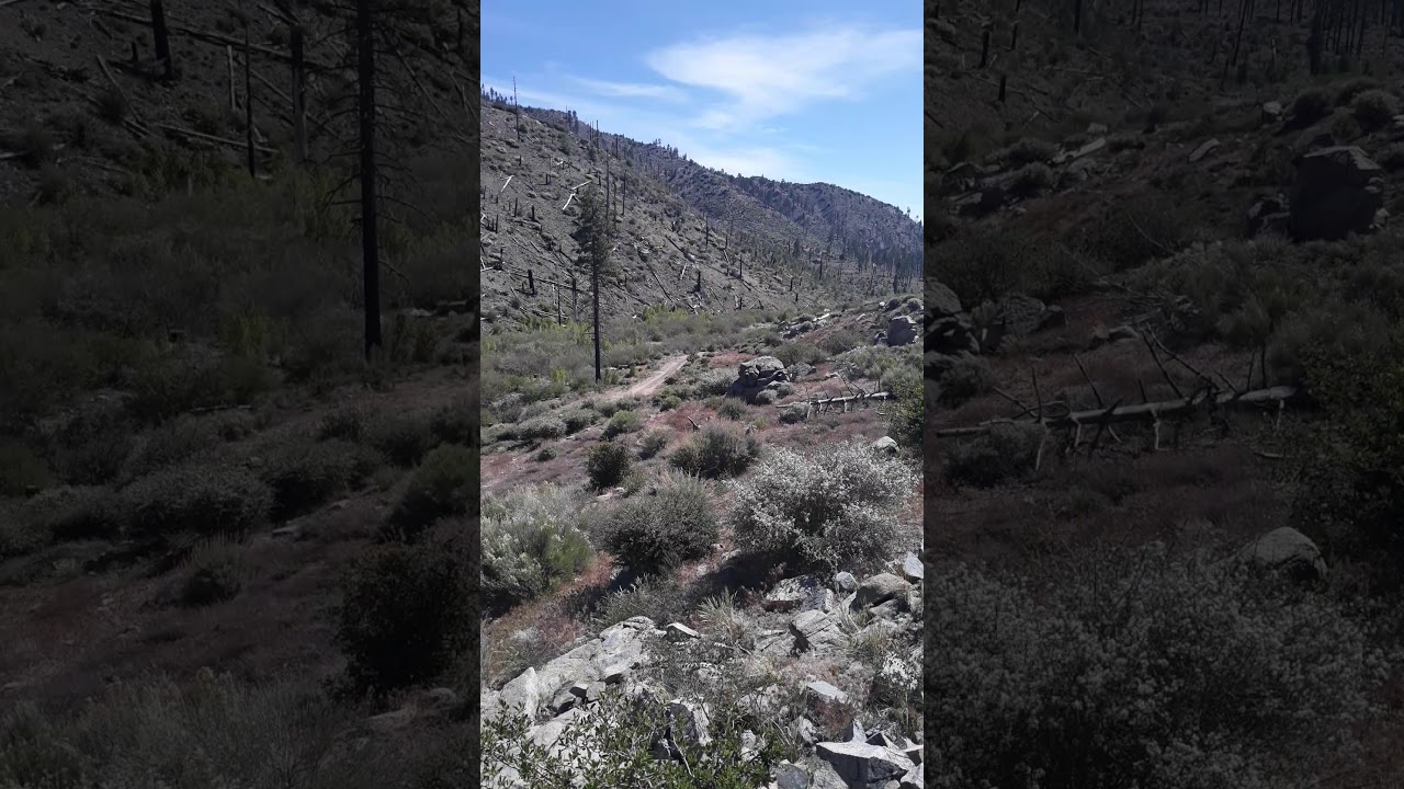 Spectre SKWO test 3 - YouTube