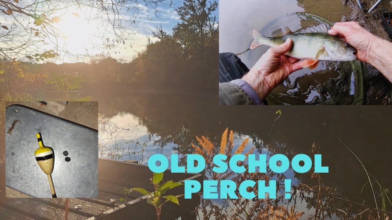 Retro style perch fishing with a traditional hand made bobber float and ...