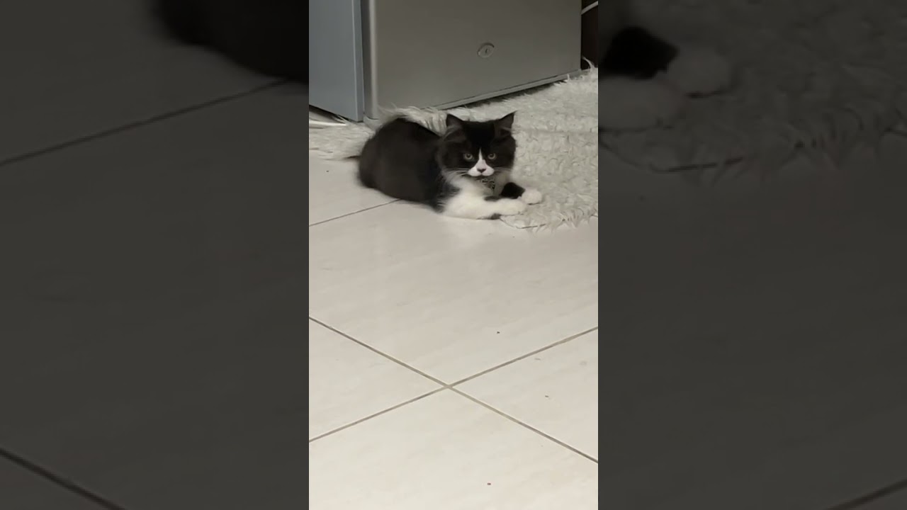 Keen sense of observation - YouTube