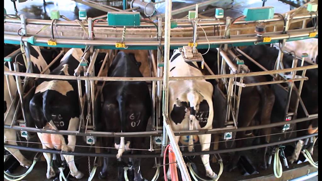 Caldermeade Farm - YouTube