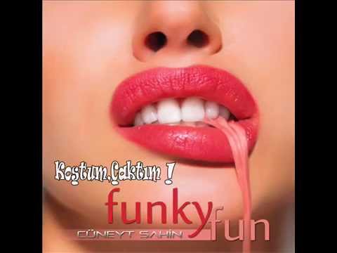Funky Fun / Koştum Çaktım / Cüneyt Şahin