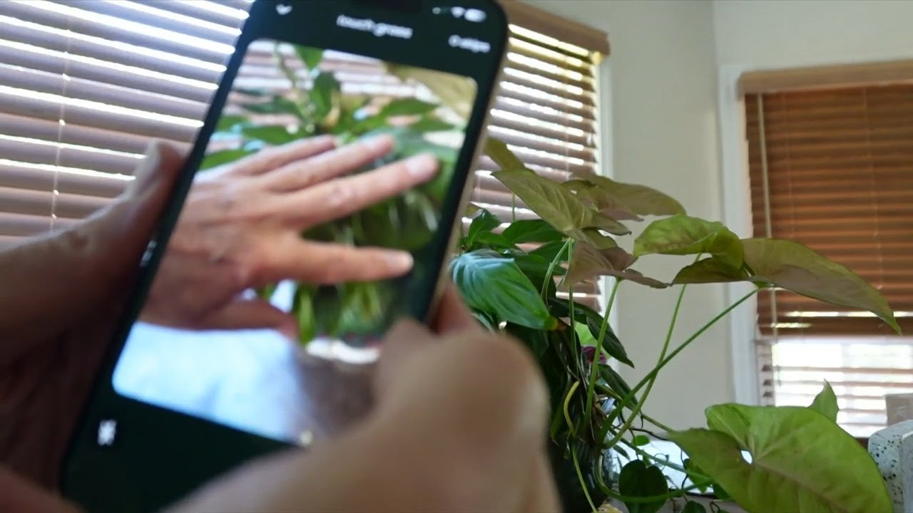 WHAT THE TECH? Touch Grass app - YouTube