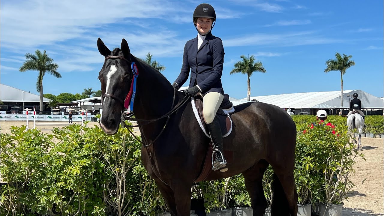 Winning Ariat Medal Test on Indiana Jones - YouTube