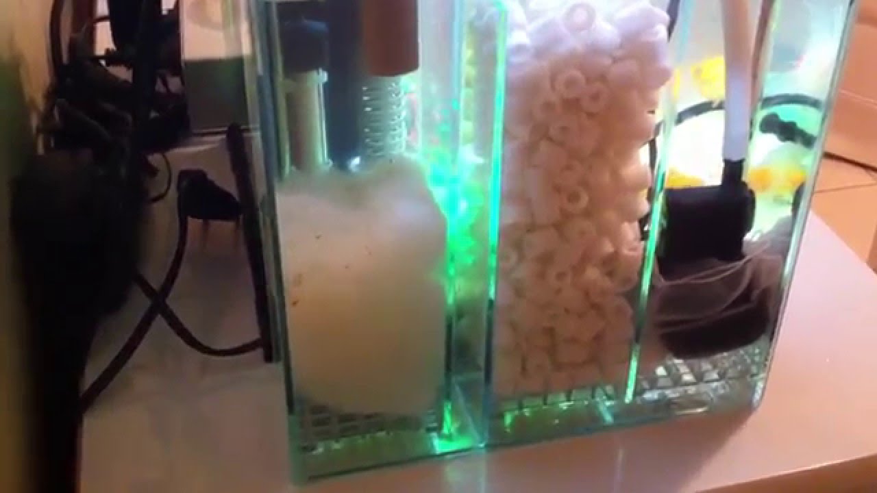 Mini sump e controladora de temperatura para aquário pequeno ...