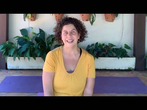 Aula 235 - Prática de Yoga - Postura alinhamento coluna e enraizamento - 09nov21