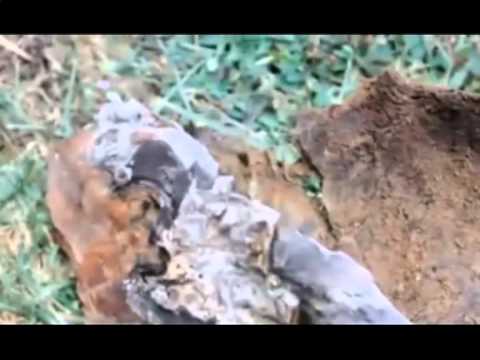 new DIVI MAKULUWA - YouTube