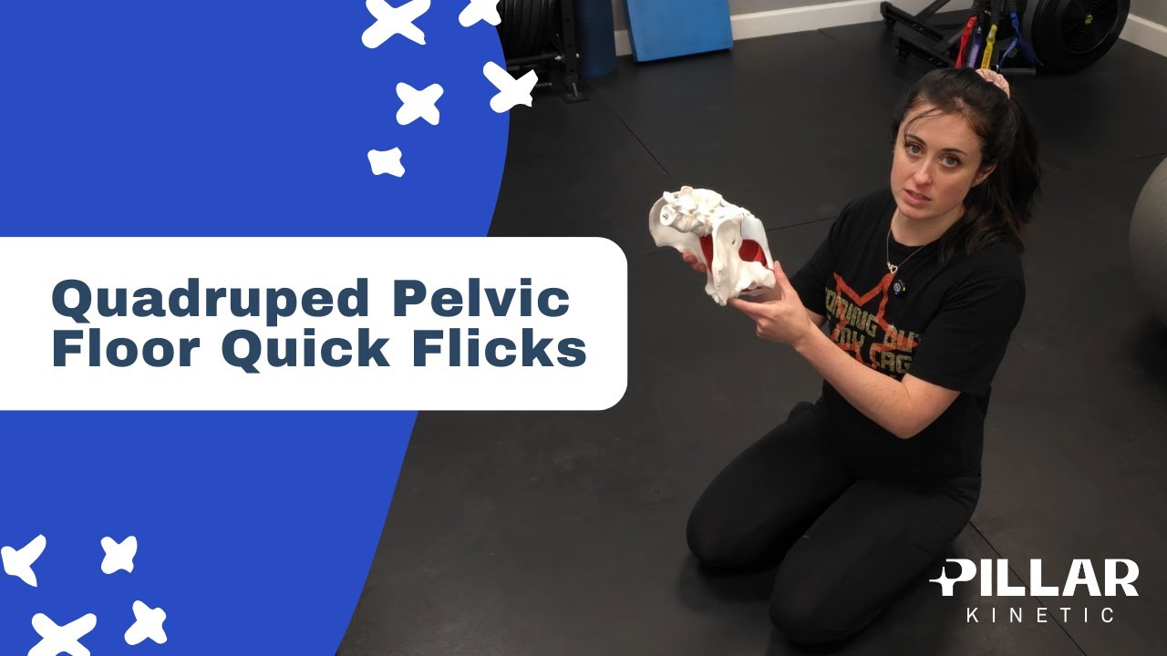 Quadruped Pelvic Floor Quick Flicks - YouTube