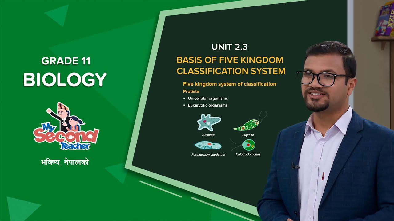 NEB Grade 11 Biology | Basis of five kingdom classification system ...