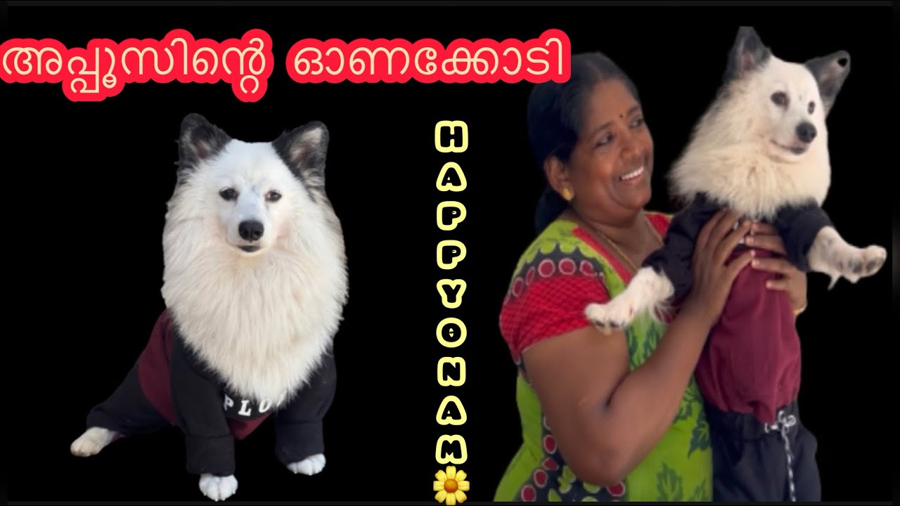 Onam special🌼 ️ happy onam ⁠ ⁠ ⁠@vichuzappuzvlog1236#dog#doglover #pets ...