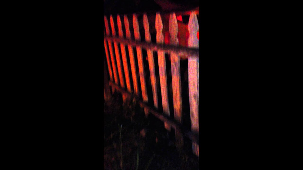 HELLYER HOUSE - YouTube