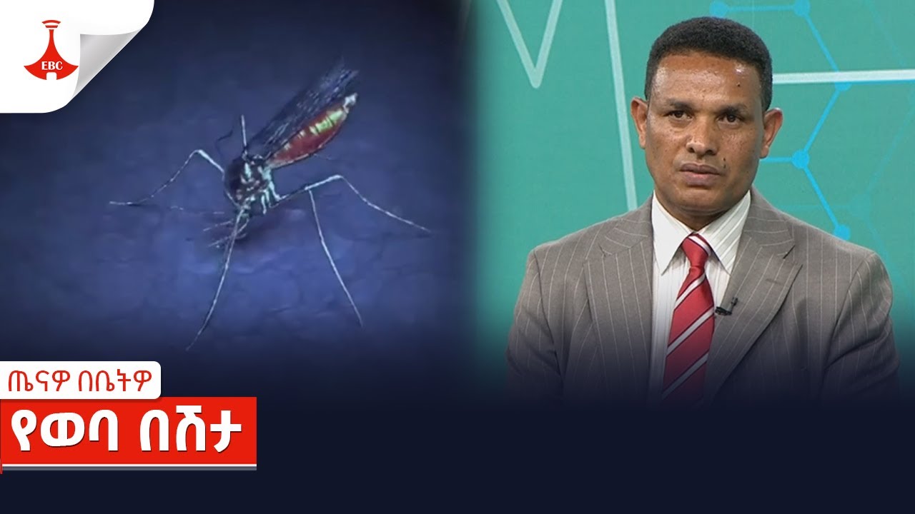 ጤናዎ በቤትዎ፡ የወባ በሽታ Etv Ethiopia News Youtube