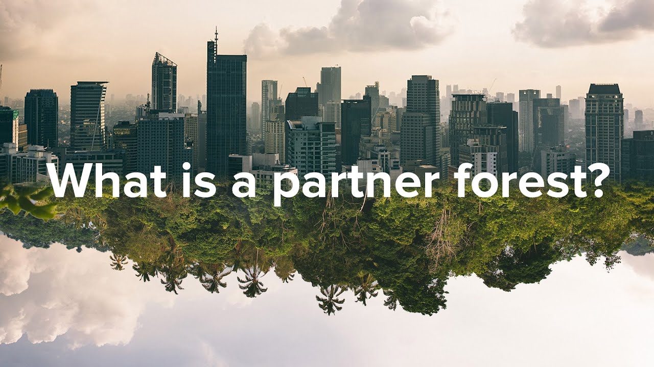 The Cities4Forests Partner Forests Program - YouTube