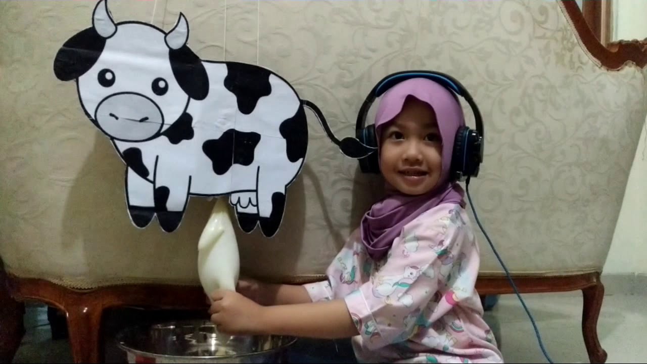 Memeras susu sapi (kegiatan belajar daring) puncak tema - YouTube