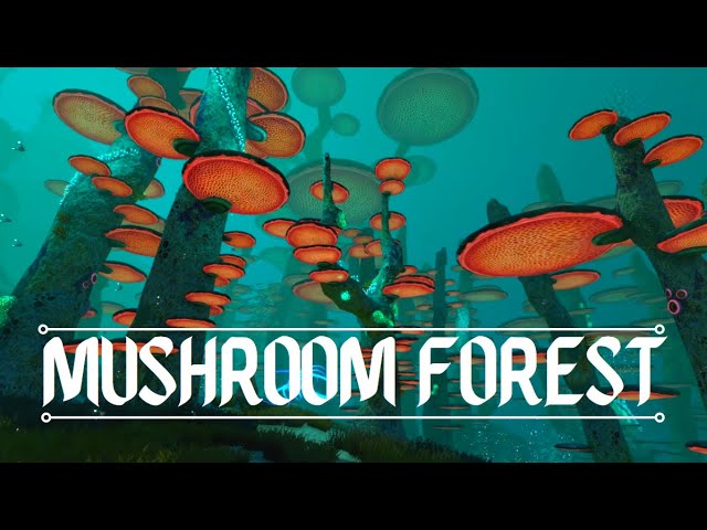 Subnautica Mushroom Forest Wallpaper Mushroom Forest | Wiki