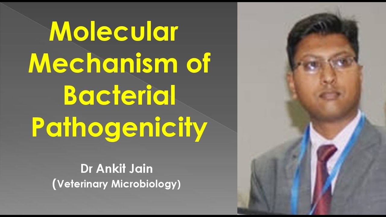 Molecular Mechanism of Bacterial Pathogenicity - YouTube