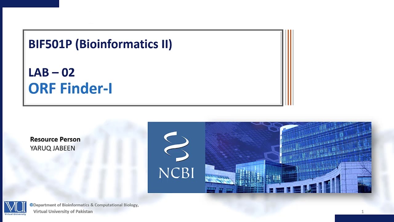 BIF501P LAB02 ORF Finder-I - YouTube