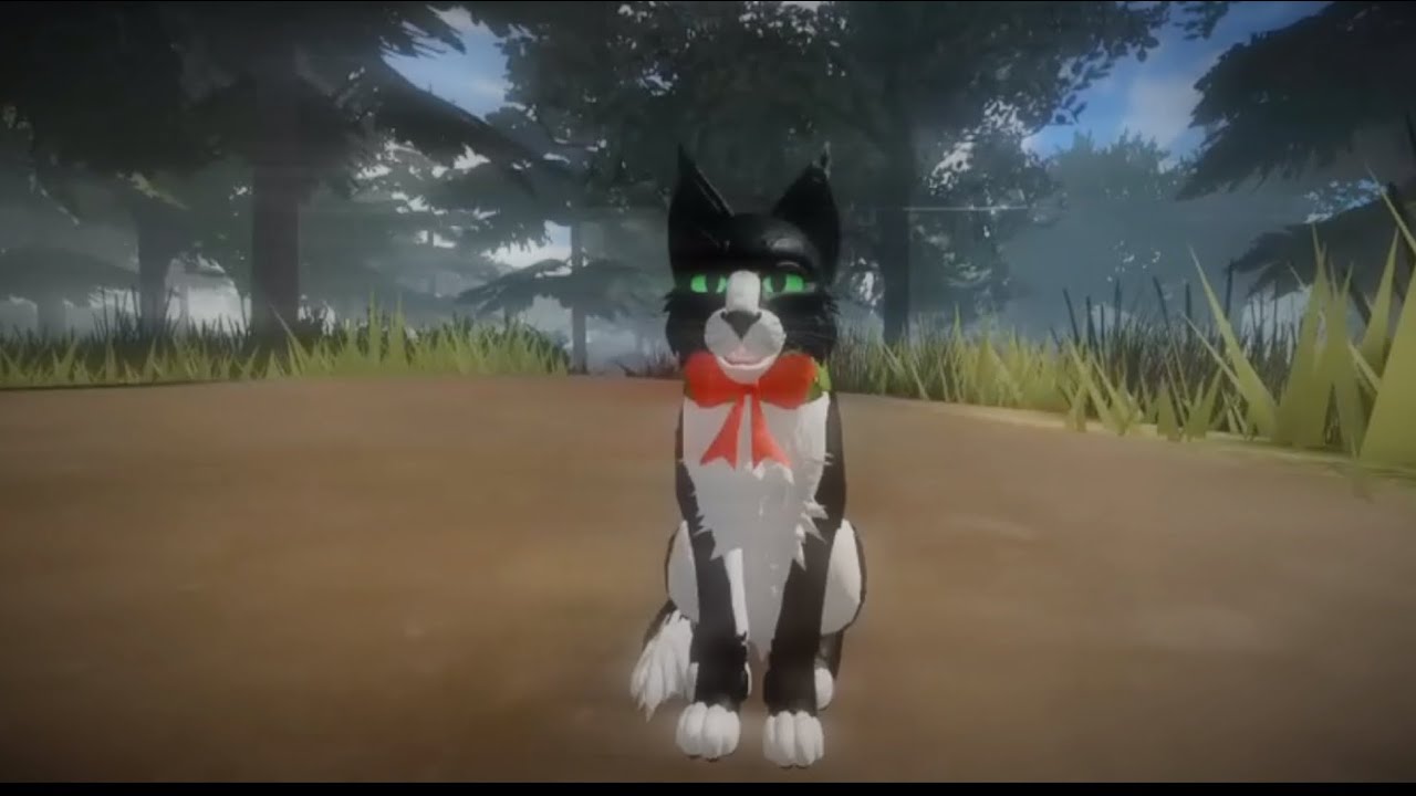 [ What’s your name kid? | WCUE EDIT | boost? ] - YouTube