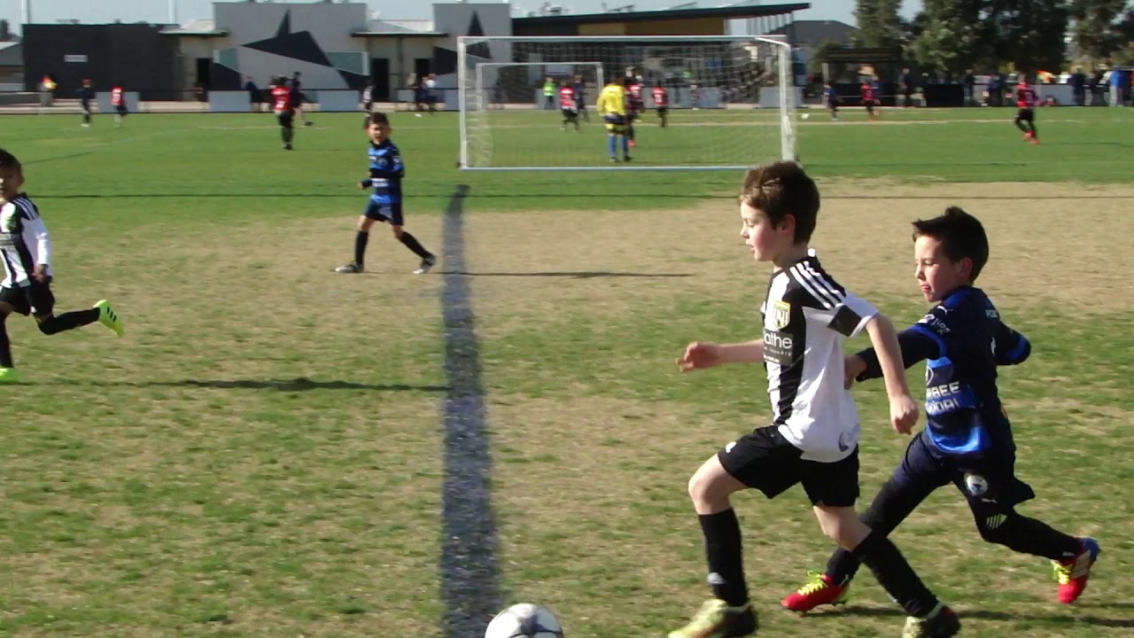 Point Cook Jets U8 Kangas 6:0 (4:0) Brimbank Stallions Yellow ...