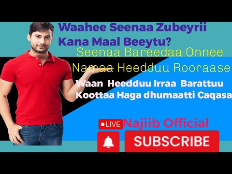Seenaa Bareedaa Onnee Namaa Heedduu Rooraasee Seenaa Zubeyrii