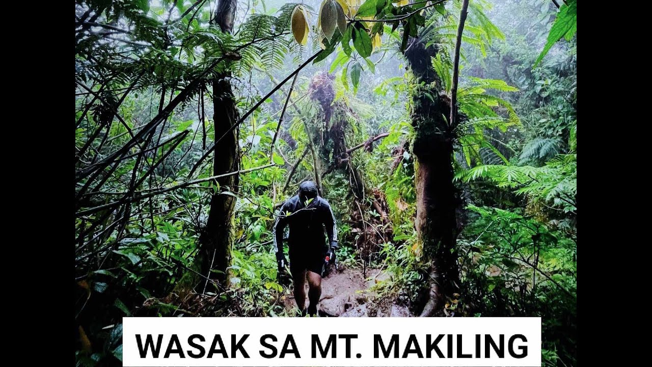 MT MAKILING EPIC CLIMB - YouTube