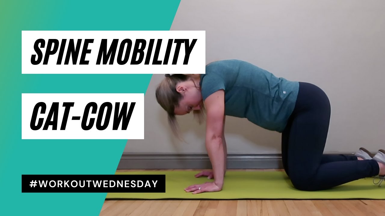 3 Cat-Cow Variations to Battle Back Stiffness - YouTube