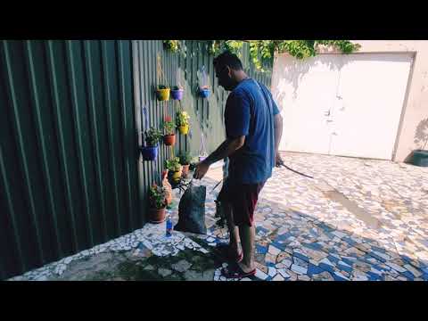 samovar çayı bağda