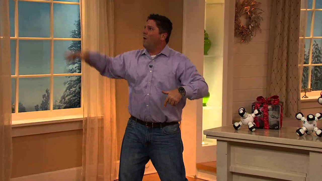 Flashball Electronic Handheld Game with Lights & Sound with Rick ...