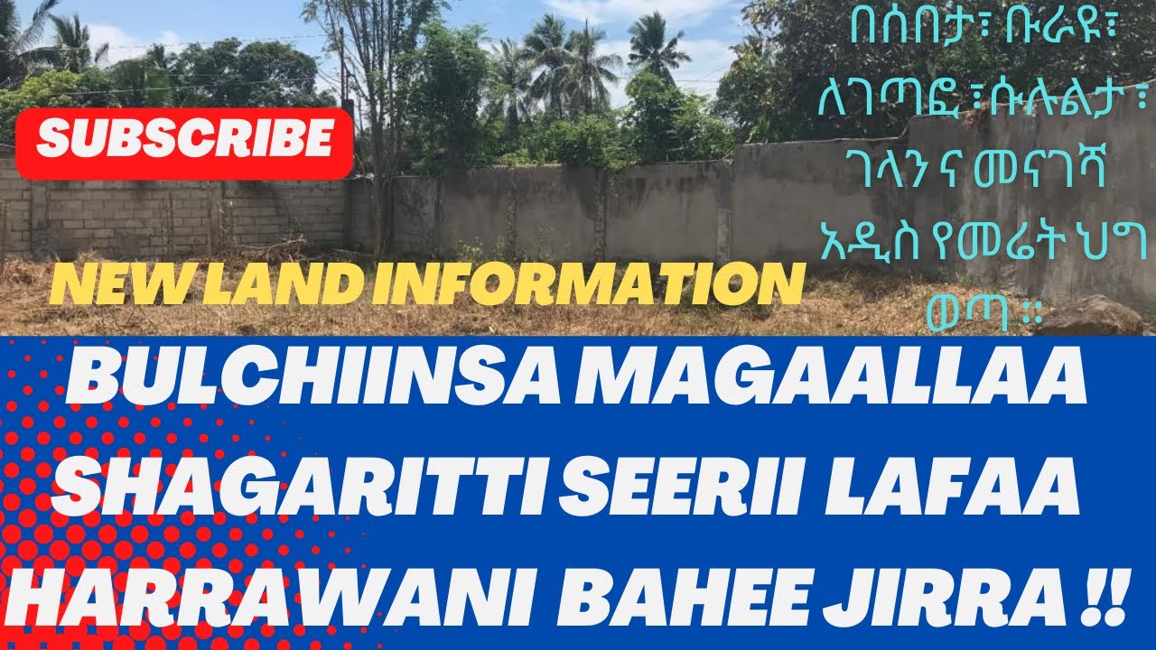 🔴🔴Ethiopia Bulchiins Magaala Shagar Sera Lafa Harawa Base/ ሸገር ከተማ አዲስ ...