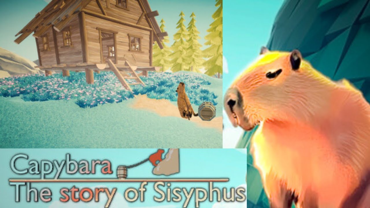 MENGANTAR CAPYBARA MANDI KE PUNCAK GUNUNG, Capybara The Story of ...