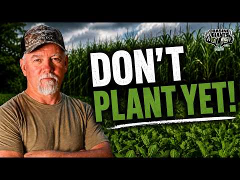 You're Planting Fall Food Plots TOO EARLY! (Most Hunters Get This Wrong)-Chasing Giants Podcast 335